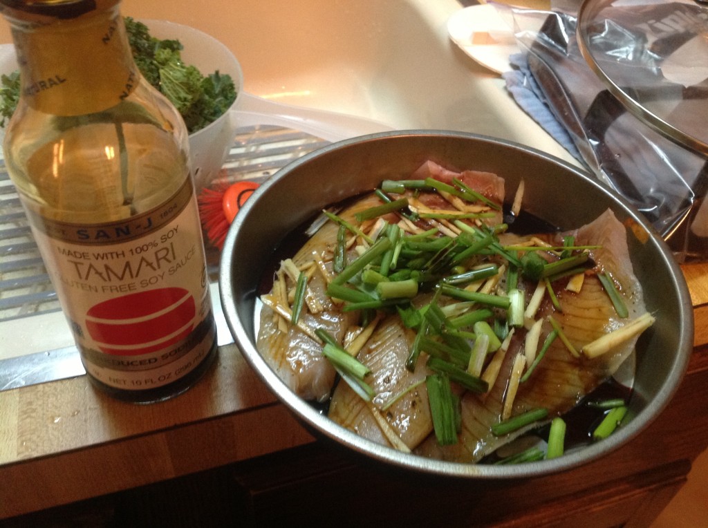 Paleo-Friendly Meals: Chinese Steamed Fish | Sun Sand Saltwater