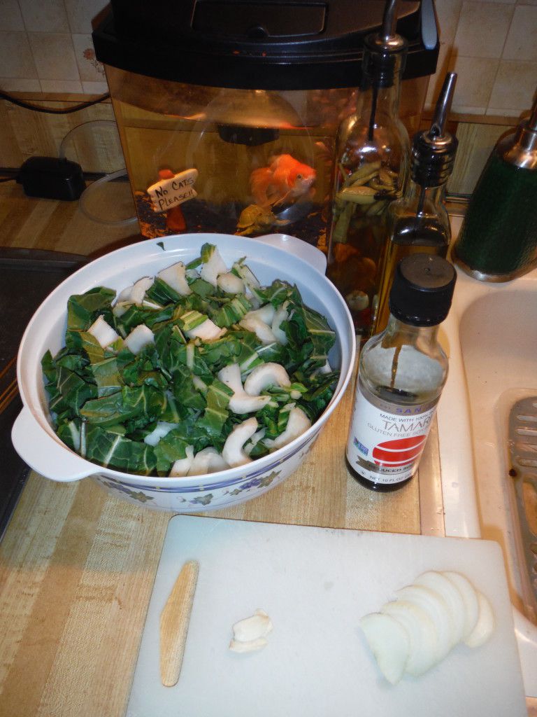 Paleo-Friendly Meals: Filipino Adobo Style Bok Choy | Sun Sand Saltwater